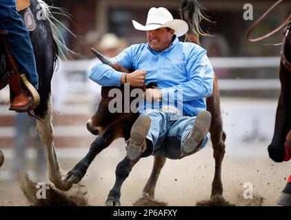Trevor Knowles wrestles a steer during rodeo action at the Calgary ...