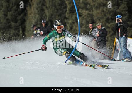 Amanda McDonald (#17) skis around a gate on the slalom course of the US ...