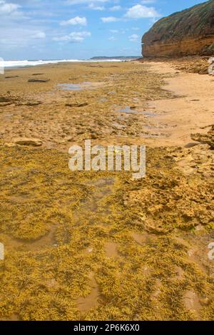 Cliffs and rock pools at Bells Beach Stock Photo - Alamy