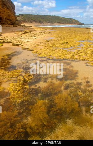 Cliffs and rock pools at Bells Beach Stock Photo - Alamy