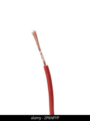 One stripped electrical wire isolated on white Stock Photo - Alamy