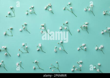 Beautiful gypsophila flowers on turquoise background, flat lay Stock ...