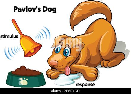 Pavlov's Dog Experiment Vector illustration Stock Vector Image & Art ...