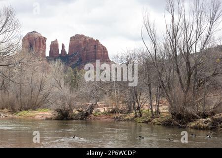 Oak Creek flowing below Cathedral Rock at Crescent Moon Ranch in Sedona ...