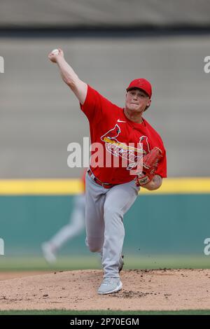 St. Louis Cardinals starting pitcher Carlos Martinez throws during the ...
