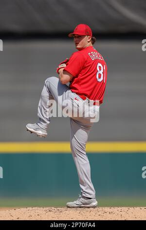 St. Louis Cardinals starting pitcher Andre Pallante throws during the ...