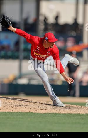 St. Louis Cardinals relief pitcher Matt Pushard throws in his MLB debut ...