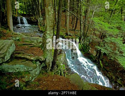 Dutchman Falls, also known as Amber Falls, in Loyalsock State Forest ...