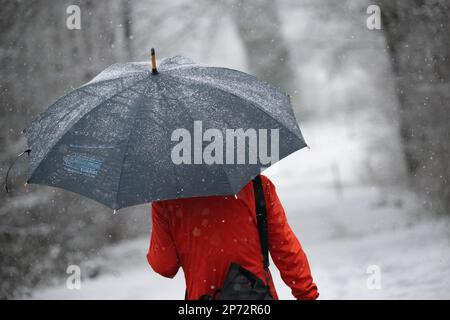 08 March 2023, Hesse, Gießen: A car drives past snow-covered grass. An ...