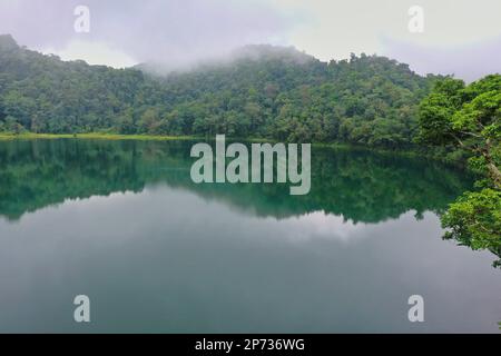 Idyllic shot of the green Rana Mese lake on Flores, surrounded by ...