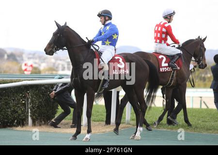 Rumino Meteore and Mirco Demuro before the Tsuwabuki Sho at Chukyo ...