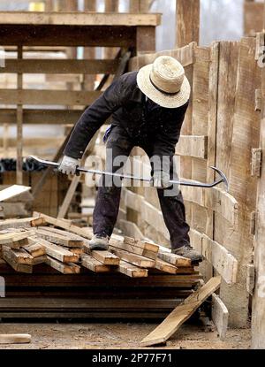 Only in the months of March and April, and only in Cyprus, these tulips ...