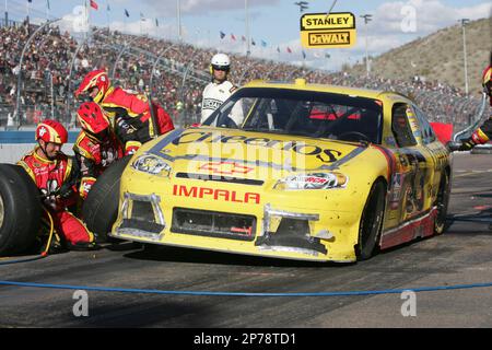 2011 FEB 27: Clint Bowyer, driver of the #33 Cheerios / Hamburger ...