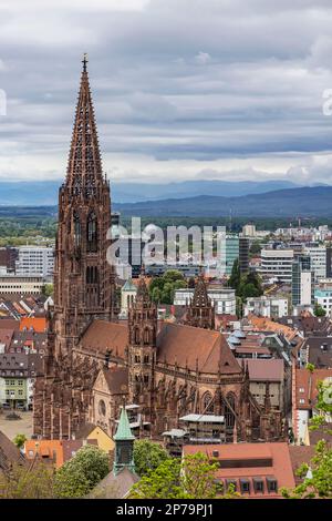Freiburg (Breisgau, Baden-Wuerttemberg, Germany): View at the Münster ...