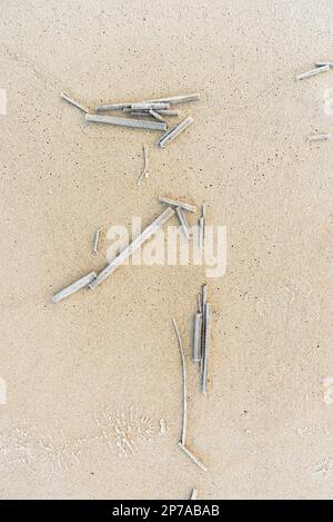 Objects on the frosty surface of the sand Stock Photo - Alamy