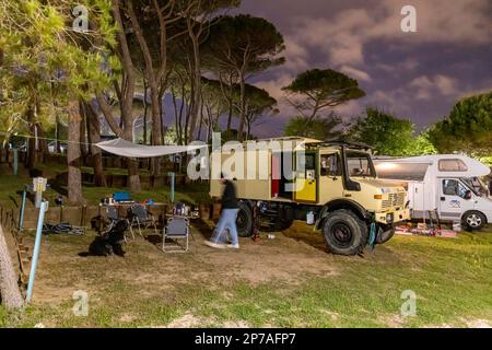 Camping under pine trees, Unimog motorhome on a campsite on the ...