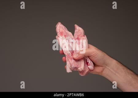 Fresh raw halved pig feet held by man's hand. Close up studio shot ...