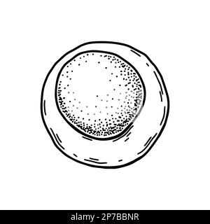 Myeloid blood stem cell isolated on white background. Hand drawn scientific microbiology vector ...