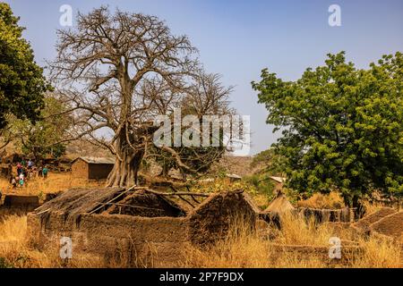traditional african rural taneka village in benin with circular clay ...