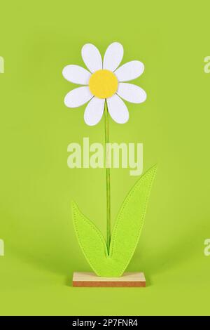 Single felt daisy flower on blue background Stock Photo - Alamy