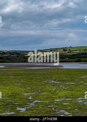 Open seabed, low tide, swamp. Green hill. White clouds in a sky. Irish ...