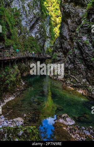 Vintgar Gorge near Lake Bled, Slovenia Stock Photo - Alamy