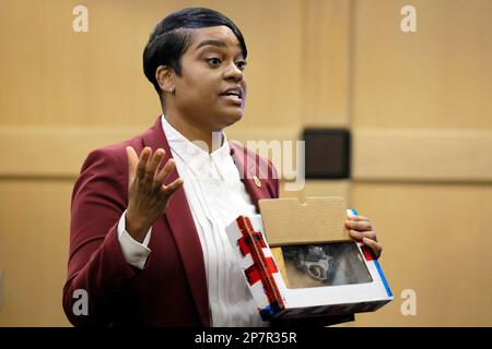 Assistant State Attorney Pascale Achille gives her closing rebuttal in ...