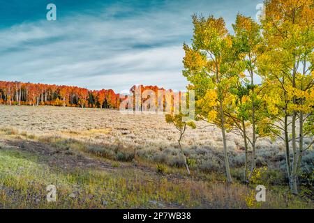 Fall colors in Cedar Breaks National Monument in Utah, USA Stock Photo ...
