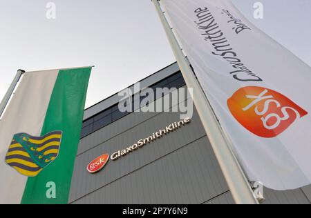 GSK logo, GlaxoSmithKline logo, Dresden, Germany Stock Photo - Alamy