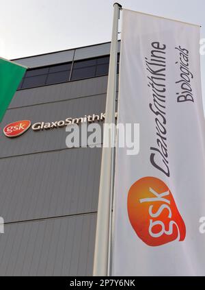 GSK logo, GlaxoSmithKline logo, Dresden, Germany Stock Photo - Alamy
