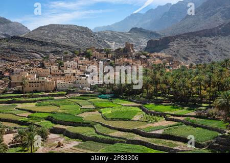 The lovely oasis village of Bald Sayt (Balad Sayt), Western Hajar ...