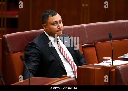 United Australia Party senator Ralph Babet and former Greens senator ...