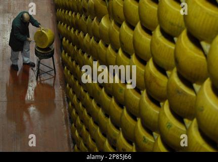 Process of making parmigiano-reggiano parmesan hard cheese on small ...