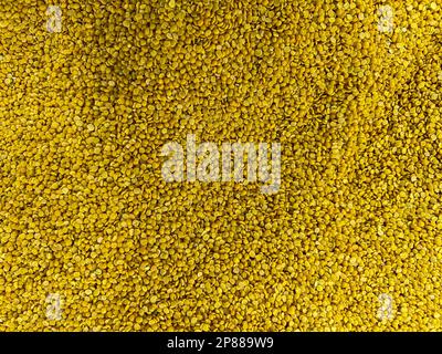 Toor Dal - Toor Dal or Pigeon Pea is a lentil commonly used as an ...