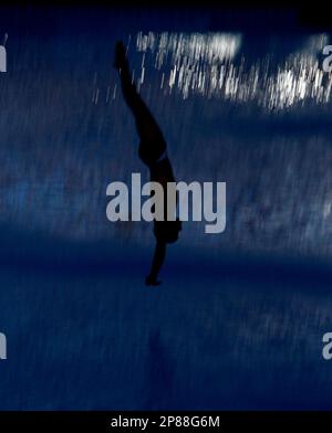 Malaysia's Bryan Lomas in action in the 10m Platform Diving on day ten ...