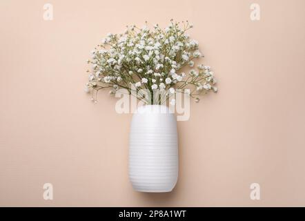Gypsophila elegant beige small flowers with light clean background and ...
