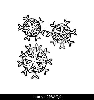 Cells of adaptive immune system. Human cells with names. Scientific ...