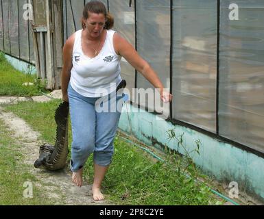 Julie Harter, Florida's only state employed alligator trapper, slings ...