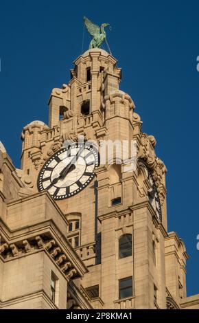A beautiful view of the Liver Building under the clear sky Stock Photo ...