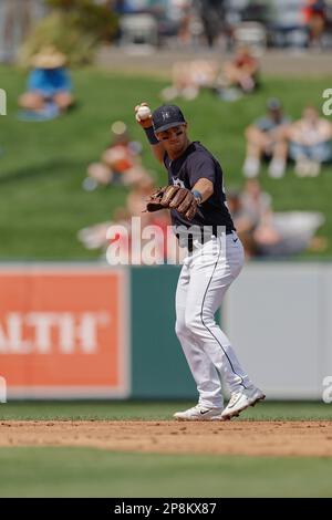 Detroit Tigers' Zack Short (59) celebrates in the dugout after hitting ...