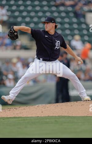 Detroit Tigers pitcher Tyler Holton (89) throws against the San ...