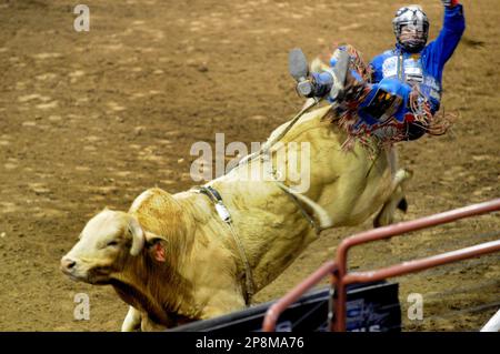 McKennon Wimberly a professional bull rider does his best to hold on ...