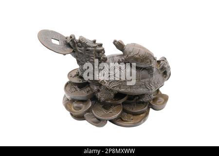 Dragon Turtle on white background Stock Photo - Alamy
