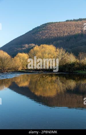 The River Tweed at Walkerburn in the Scottish Borders Stock Photo - Alamy