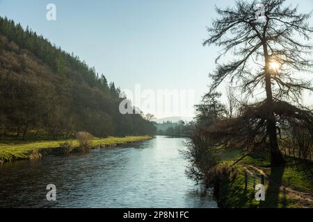 The River Tweed near Walkerburn in the Scottish Borders Stock Photo - Alamy