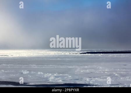 The area of the hummocking (ice reefing, piles and fragments of sea ice ...