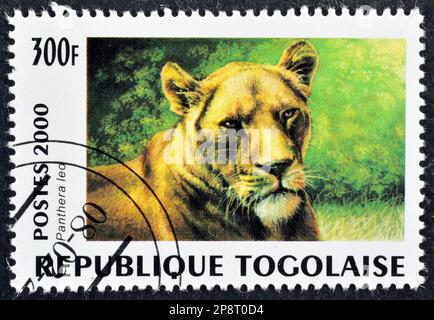 Cancelled postage stamp printed by Togo, that shows Zantedeschia ...