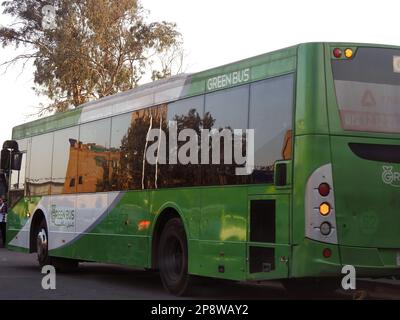 Cairo, Egypt, March 8 2023: The green bus for mass transit transporting ...