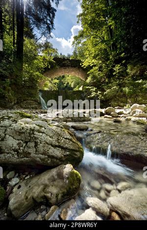 The Astico stream and the ancient stone bridge along the nature trail ...