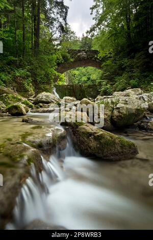The Astico stream and the ancient stone bridge along the nature trail ...